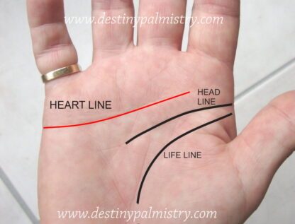 Life Line Health Warning Mark in Palmistry - Destiny Palmistry