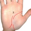 The Life Line Types and Meanings - Destiny Palmistry