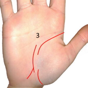 The Life Line Types and Meanings - Destiny Palmistry