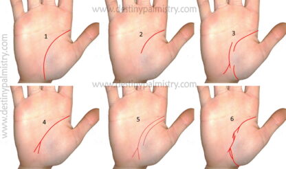 The Life Line Types and Meanings - Destiny Palmistry