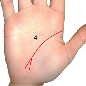 The Life Line Types and Meanings - Destiny Palmistry