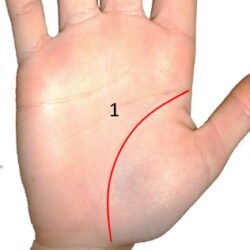 The Life Line Types and Meanings - Destiny Palmistry