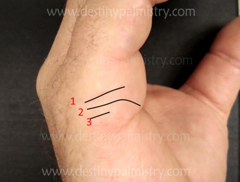 Love or Arranged Marriage Signs in Palm Reading - Destiny Palmistry