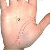 The Life Line Types and Meanings - Destiny Palmistry