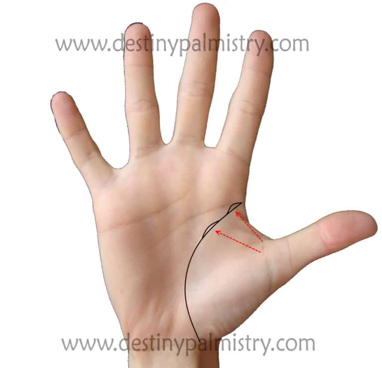 Island Mark on the Lines of the Palm - Destiny Palmistry