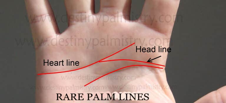 Rare Palm Lines That You Might Have - Destiny Palmistry
