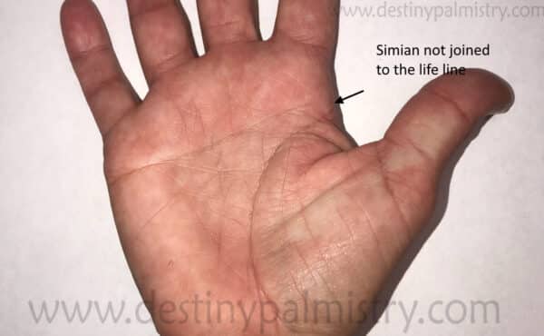 Double Simian or One Simian Line on the Palm - Destiny Palmistry