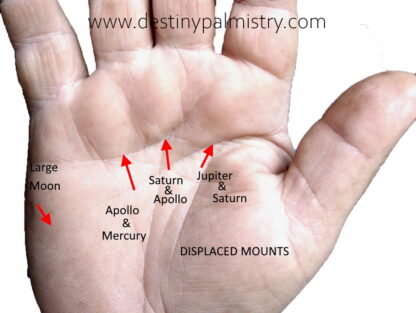 Venus Mount on the Palm Reveals Your Power - Destiny Palmistry