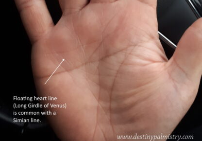 Simian Line Palmistry eBook in PDF Format - Destiny Palmistry