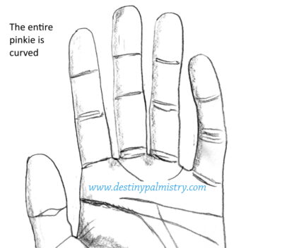 Curved Pinkie Meaning in Palmistry - Destiny Palmistry