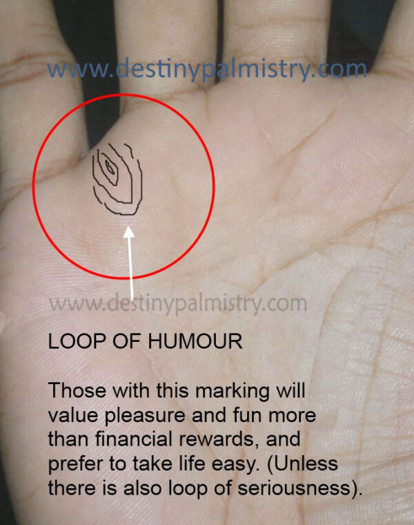 Loop Skin Ridge Patterns Under Fingers - Destiny Palmistry