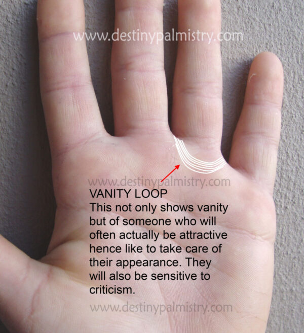Loop Skin Ridge Patterns Under Fingers - Destiny Palmistry