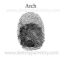 Tented Arch Fingerprint Meaning in Palmistry - Destiny Palmistry