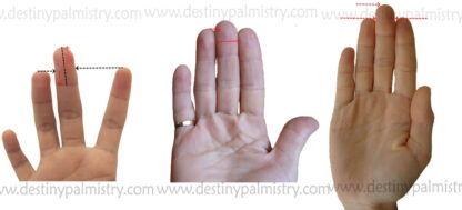 The Middle Finger Strengths from its Length - Destiny Palmistry