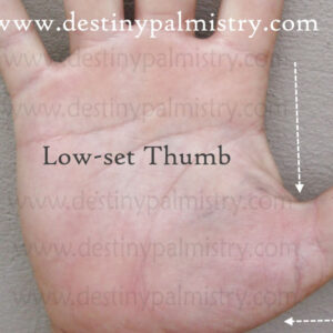 Stiff Thumb Meaning in Hand Analysis - Destiny Palmistry