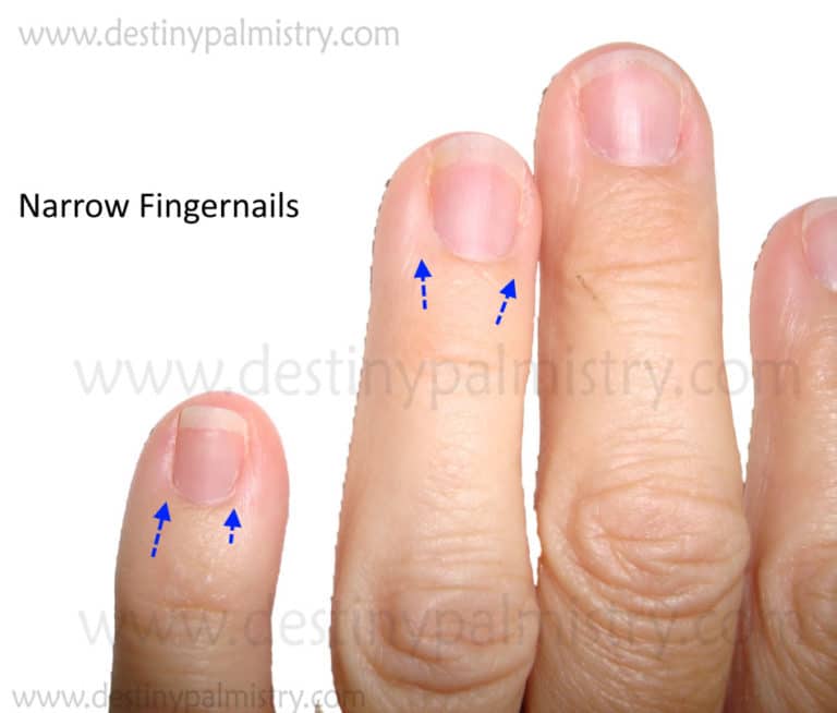 Fingernail Shape In Health and Character - Destiny Palmistry