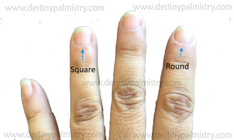 Fingernail Shape In Health and Character - Destiny Palmistry