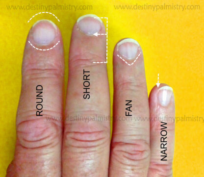 Fingernail Shape In Health and Character - Destiny Palmistry