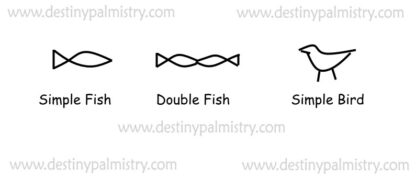 Fish Symbol Meaning in Indian Palm Reading - Destiny Palmistry