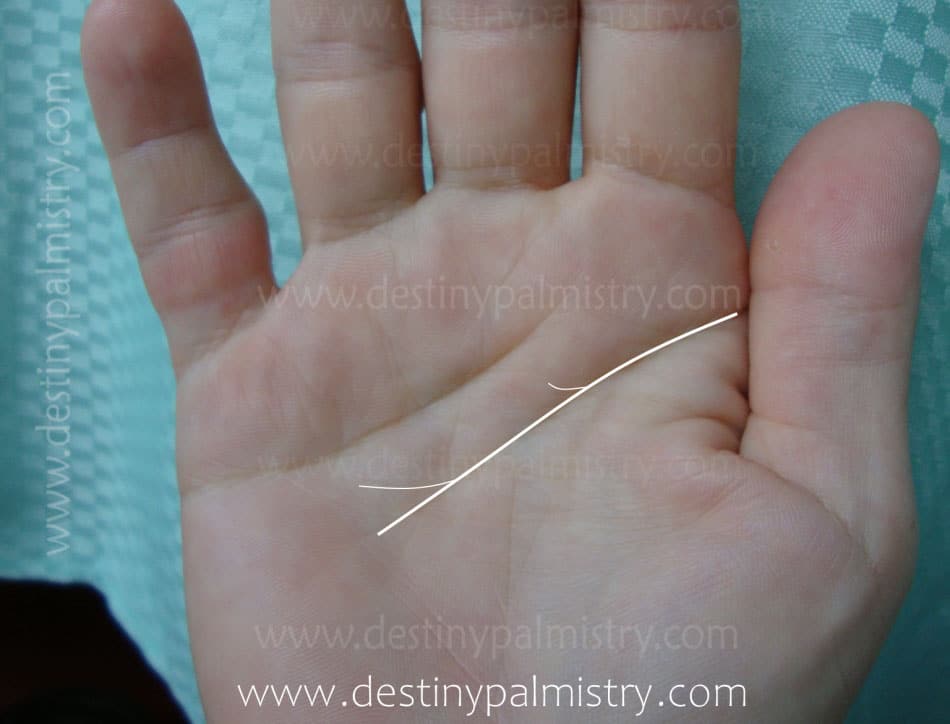 Branch Lines on the Palm Signify Key Issues - Destiny Palmistry