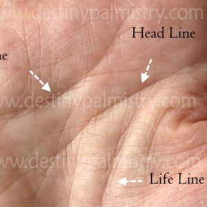 Best Palmistry Blog for Specialist Learning - Destiny Palmistry