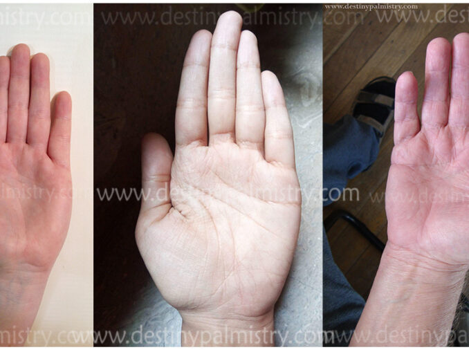 The Best Palmistry Blog Articles - Destiny Palmistry