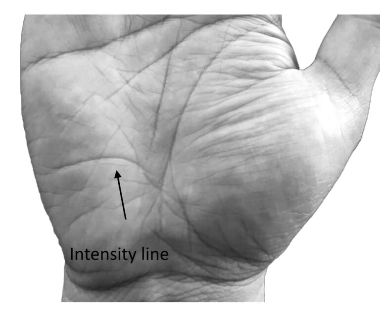 The Intensity Line Meaning in Palmistry - Destiny Palmistry