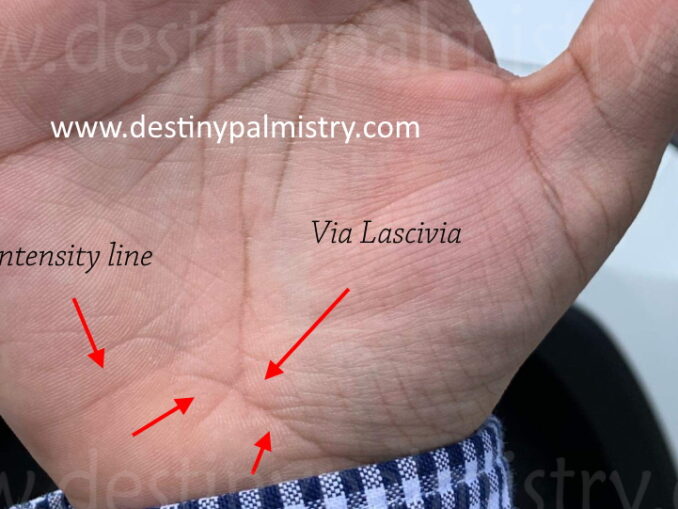 The Inner Mars Mount Secret Revealed - Destiny Palmistry