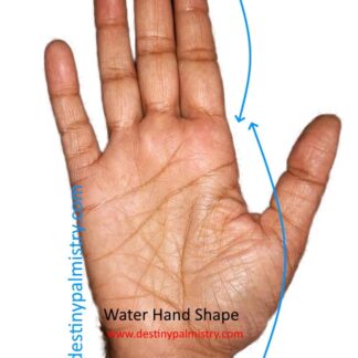 Fire Hand Shape Characteristics in Hand Analysis - Destiny Palmistry