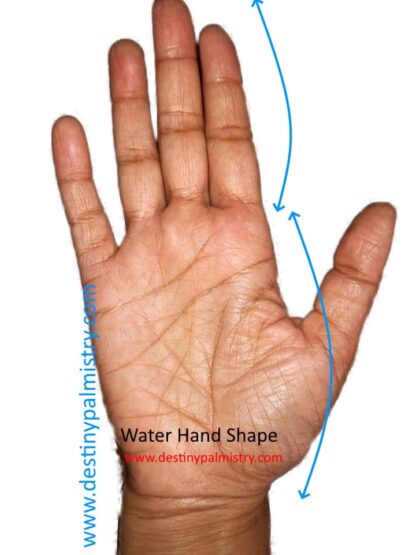 Teaching Ability Signs in Palmistry - Destiny Palmistry