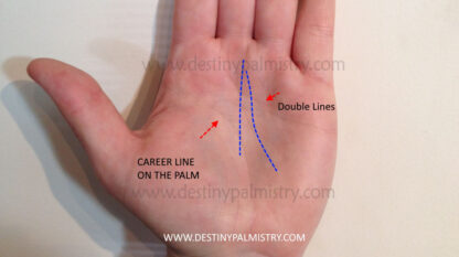 The Direction in Life Through the Fate Line - Destiny Palmistry