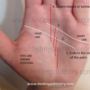 Best Palmistry Blog for Specialist Learning - Destiny Palmistry