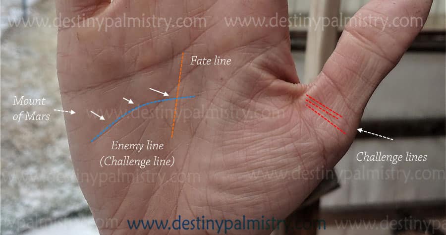 Rare Palm Lines That You Might Have - Destiny Palmistry