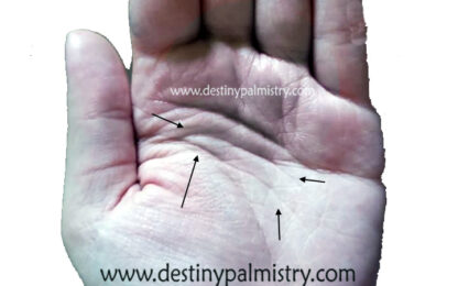 Forked Head Line Meaning in Palmistry - Destiny Palmistry