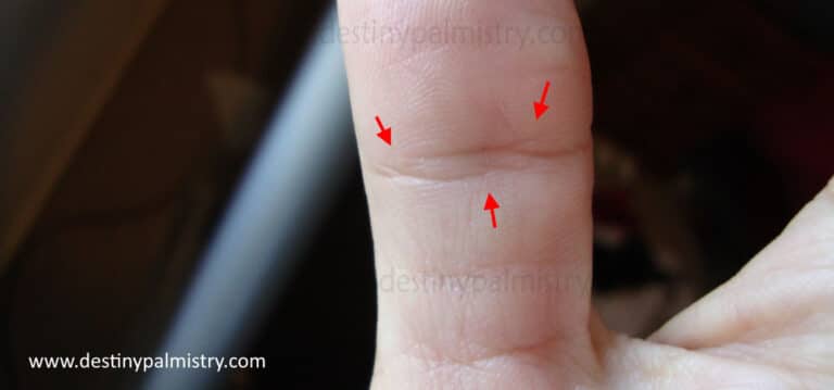 Thumb Lines Explained in a Palmistry Study - Destiny Palmistry