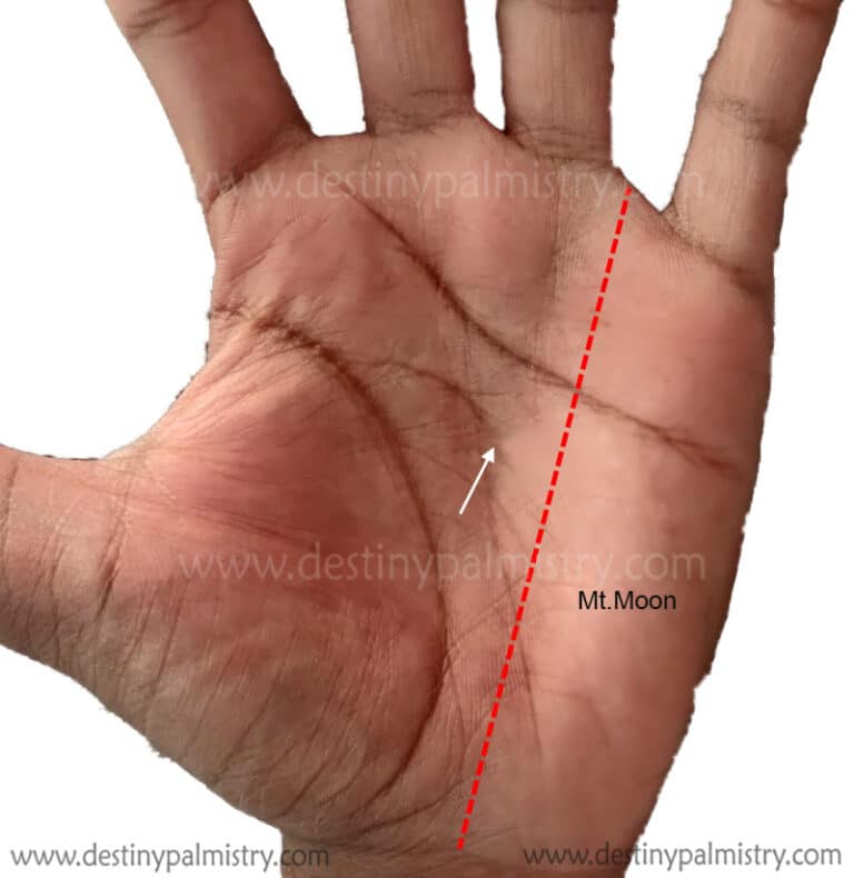 Short Head Line Effects in Hand Analysis - Destiny Palmistry