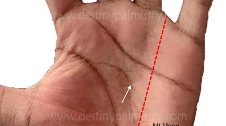 Short Head Line Effects in Hand Analysis - Destiny Palmistry