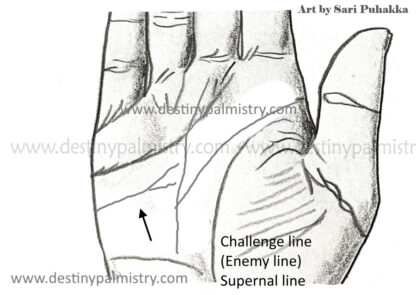 Rare Palm Lines That You Might Have - Destiny Palmistry