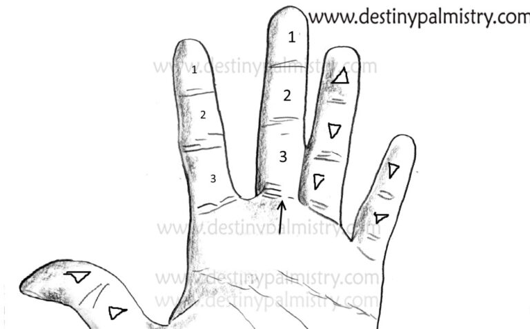 Triangle Mark on the Palm Mounts or Fingers - Destiny Palmistry
