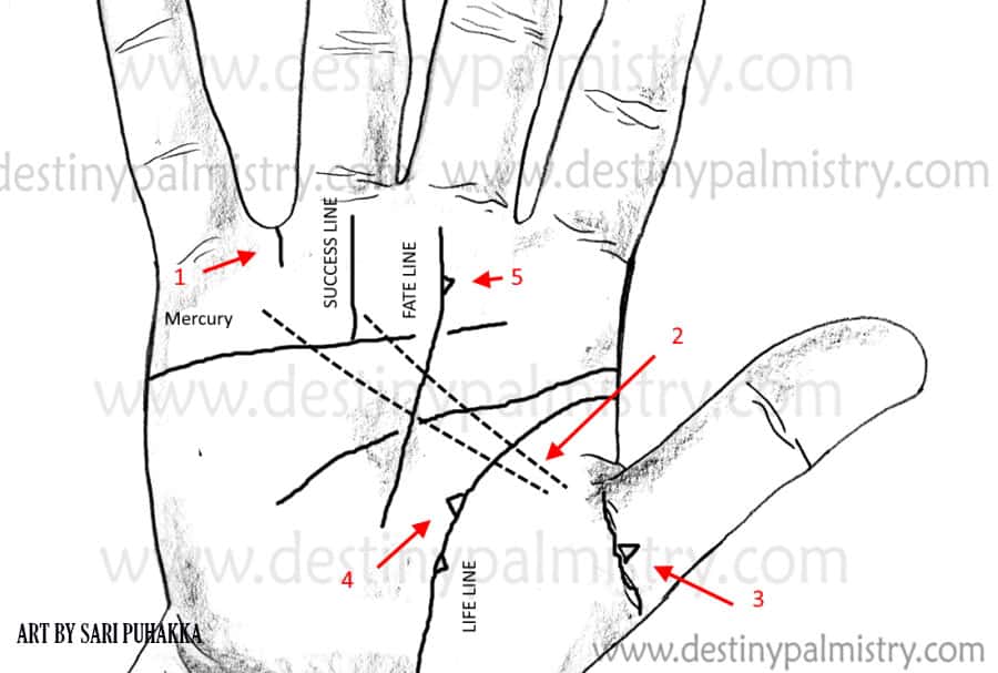 Inheritance Lines and Signs in Palmistry - Destiny Palmistry