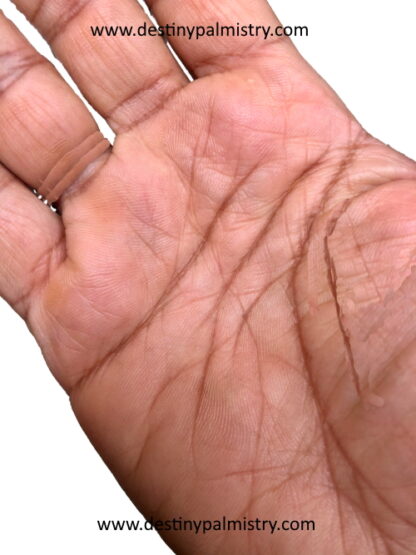 Dual Personality From the Palm Lines - Destiny Palmistry