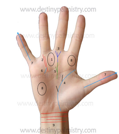 Good Luck Signs in The Palm of Your Hand - Destiny Palmistry