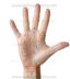 Good Luck Signs in The Palm of Your Hand - Destiny Palmistry
