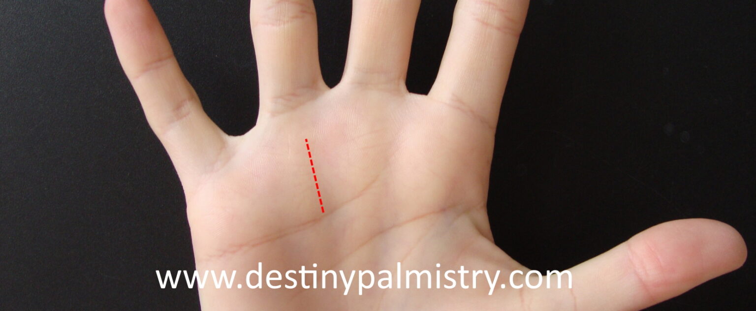 Seven-Year Cycle Time Scale on the Sun Line - Destiny Palmistry