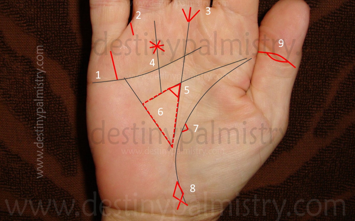 Money Triangle and Other Money Lines - Destiny Palmistry