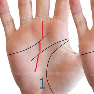 Which Fate Line Type Do You Have for a Career? - Destiny Palmistry