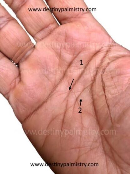 Dual Personality From the Palm Lines - Destiny Palmistry