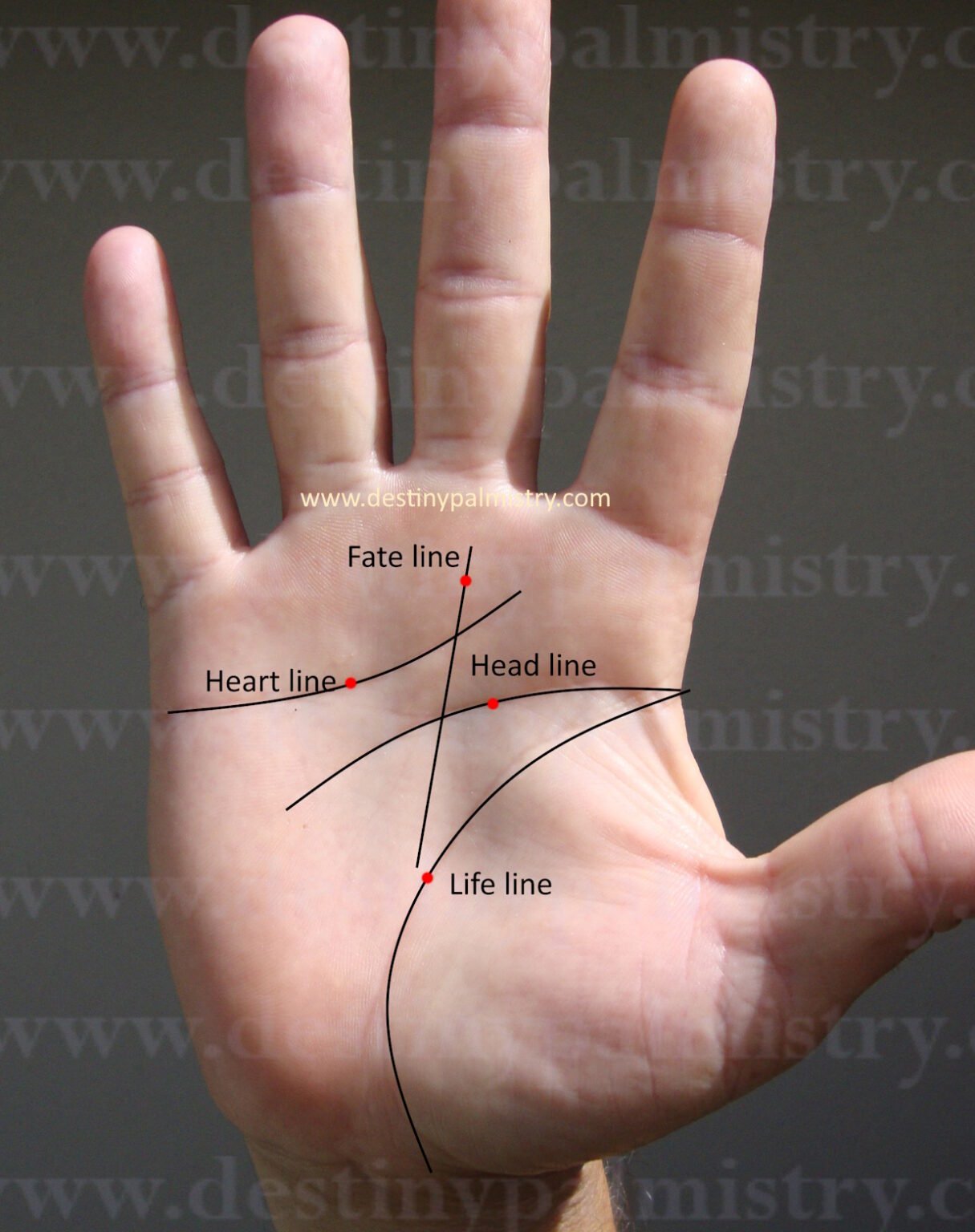 The Modern Guide to Palmistry: Why Palmistry Matters - Destiny Palmistry